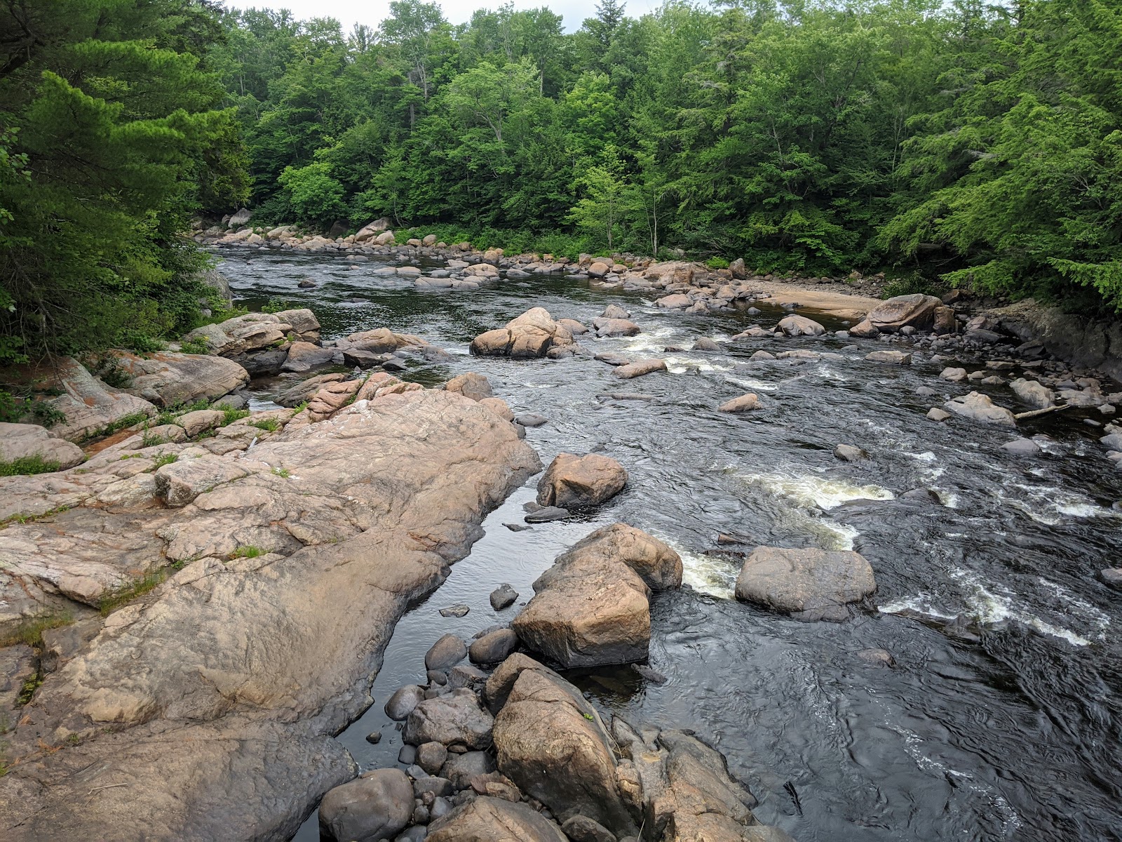 Moose River (2026) – Best of TikTok, Instagram & Reddit Travel Guide