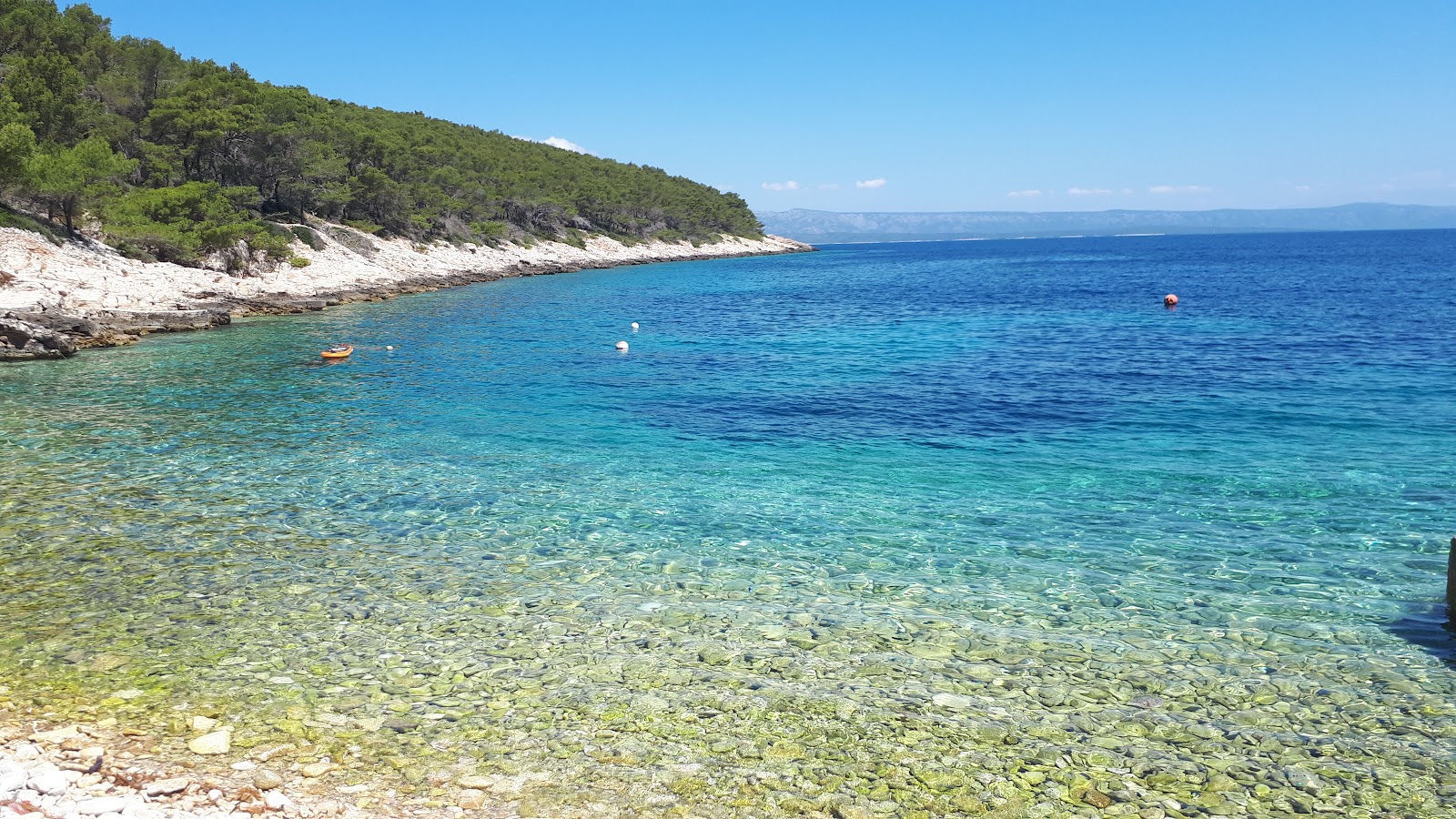 Meduza Beach (2026) – Best of TikTok, Instagram & Reddit Travel Guide