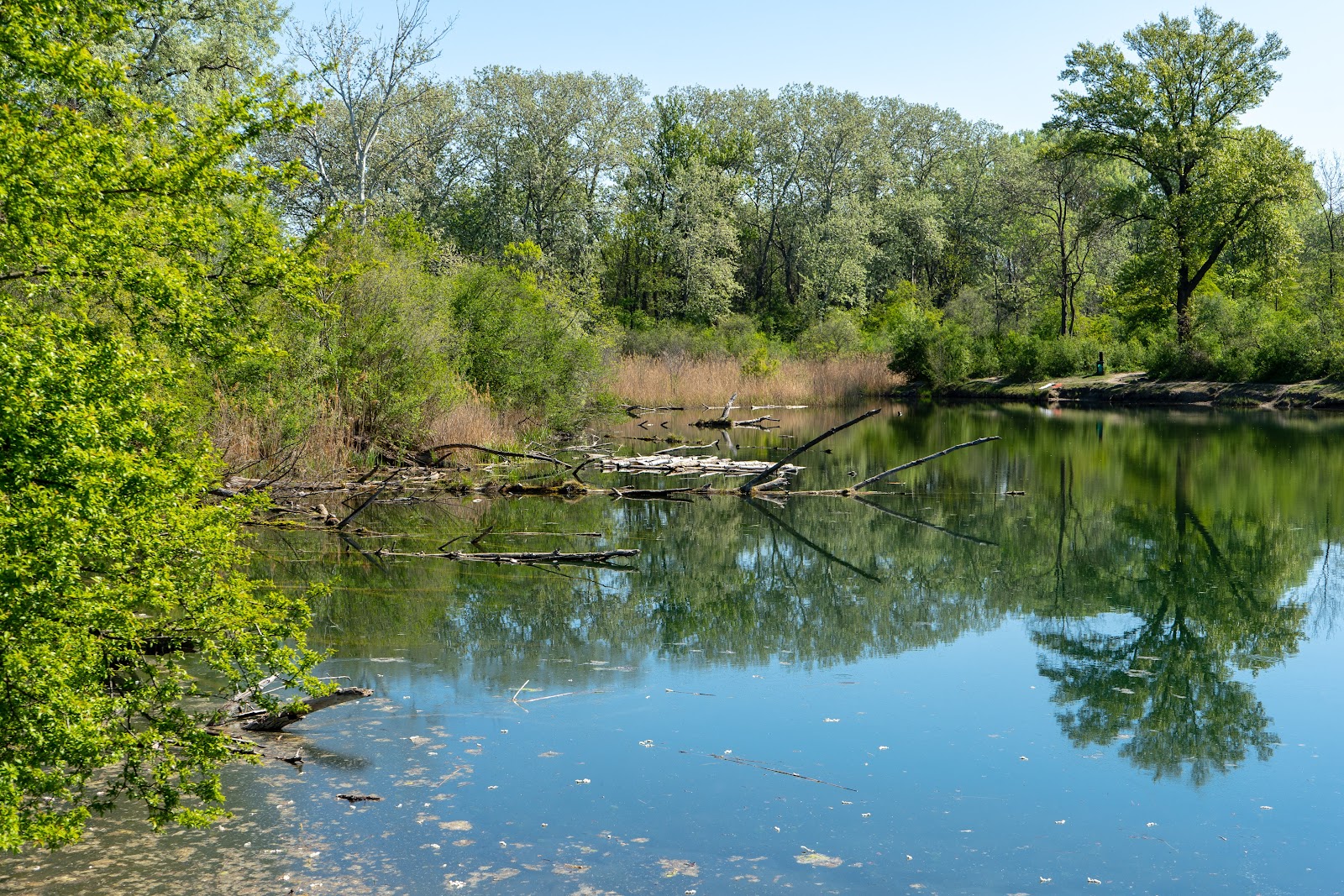 Lobau National Park Vienna (2026) – Best of TikTok, Instagram & Reddit ...