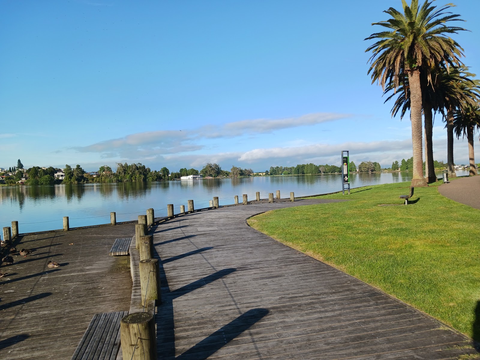 Hamilton Lake Domain Lake Rotoroa (2026) – Best of TikTok, Instagram ...