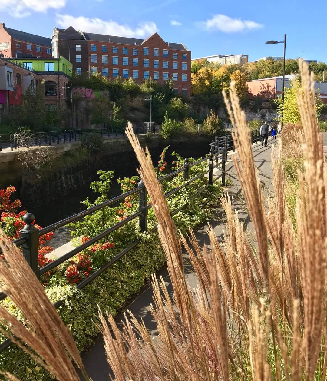 Ouseburn Valley Newcastle (2026) – Best of TikTok, Instagram & Reddit ...