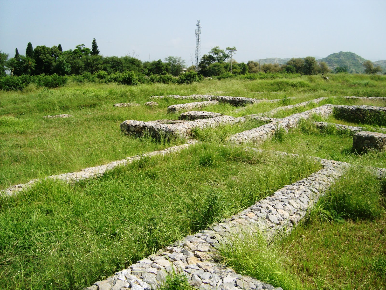 Bhir Mound Taxila (2025) – Best of TikTok, Instagram & Reddit Travel Guide