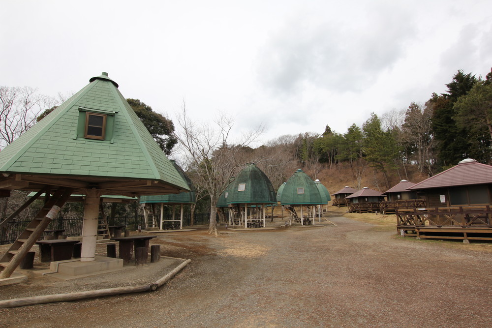 Seiwa Kenmin no Mori Chiba Prefectural Forest (2026) – Best of TikTok ...