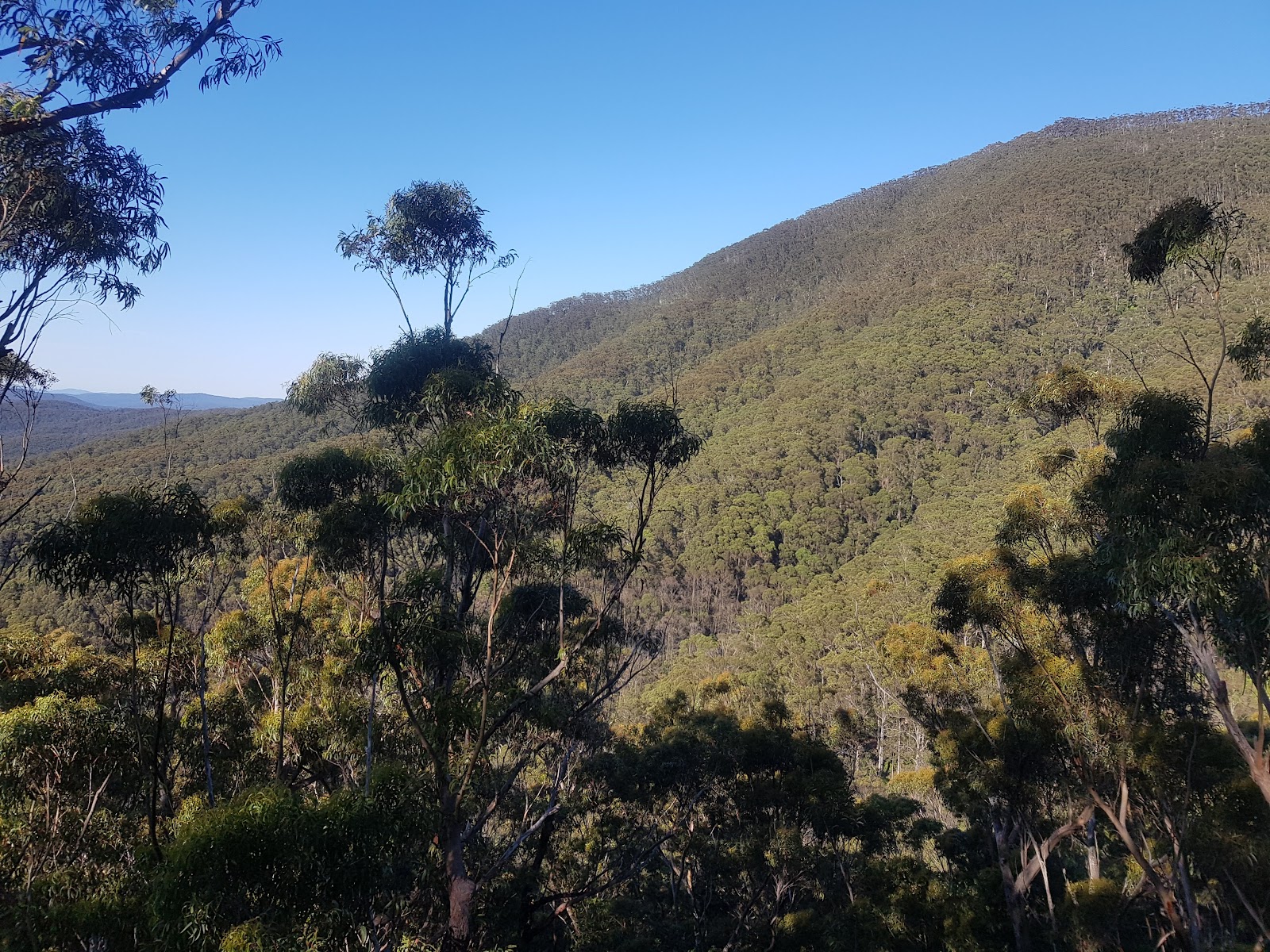 Mount Imlay National Park (2026) – Best of TikTok, Instagram & Reddit ...