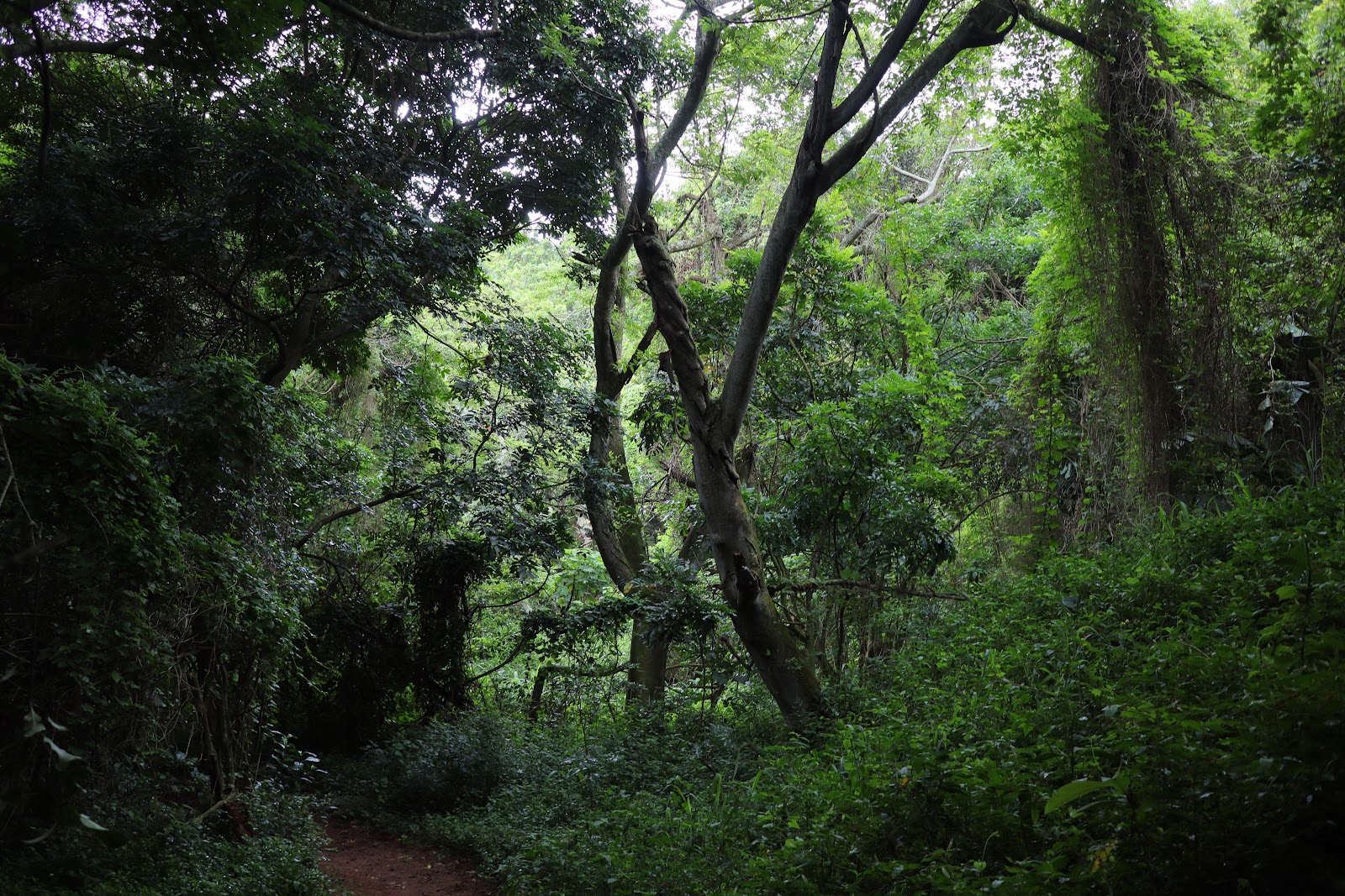 Virginia Bush Nature Reserve (2026) – Best of TikTok, Instagram ...