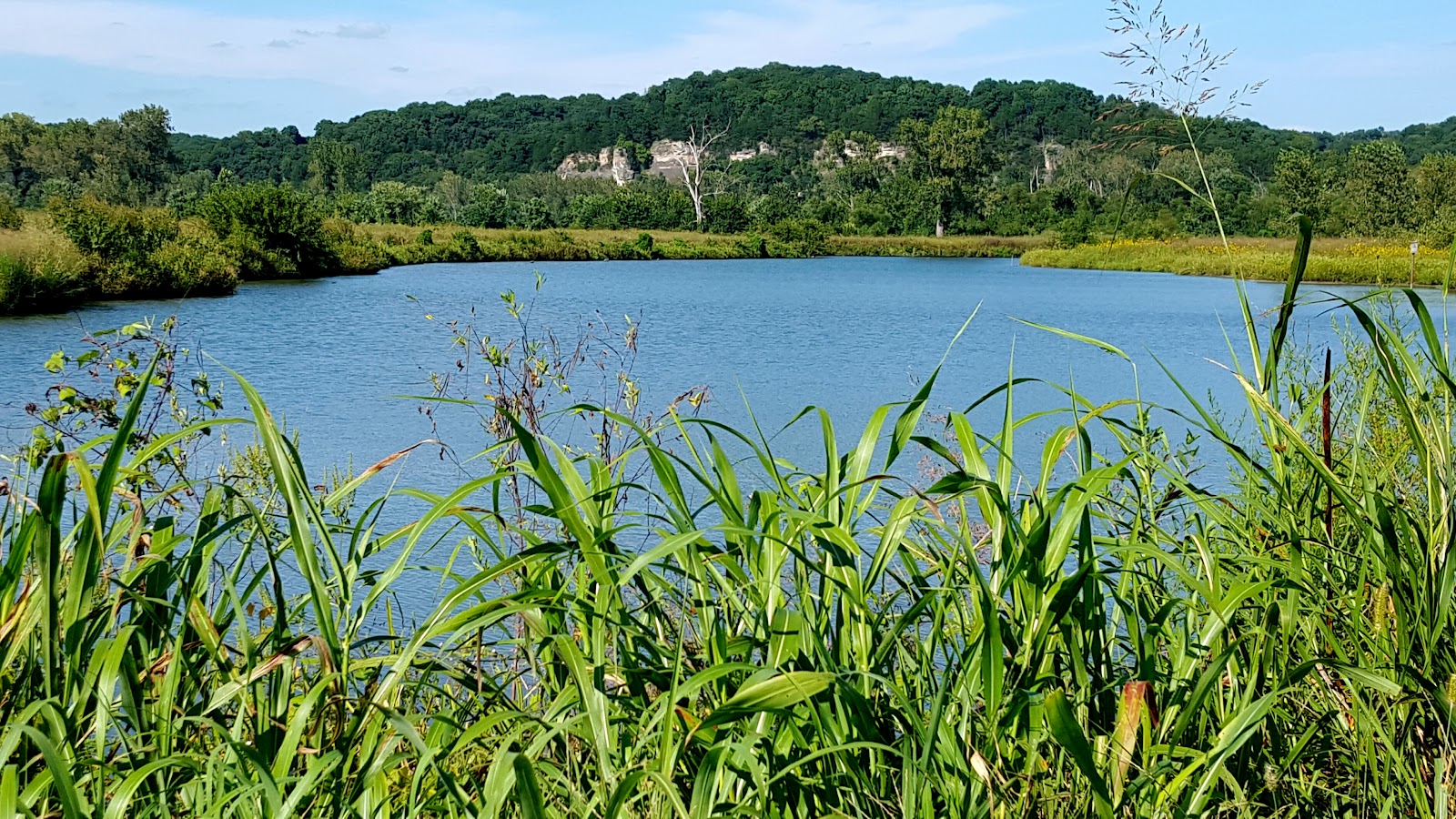 Eagle Bluffs Conservation Area (2026) – Best of TikTok, Instagram ...