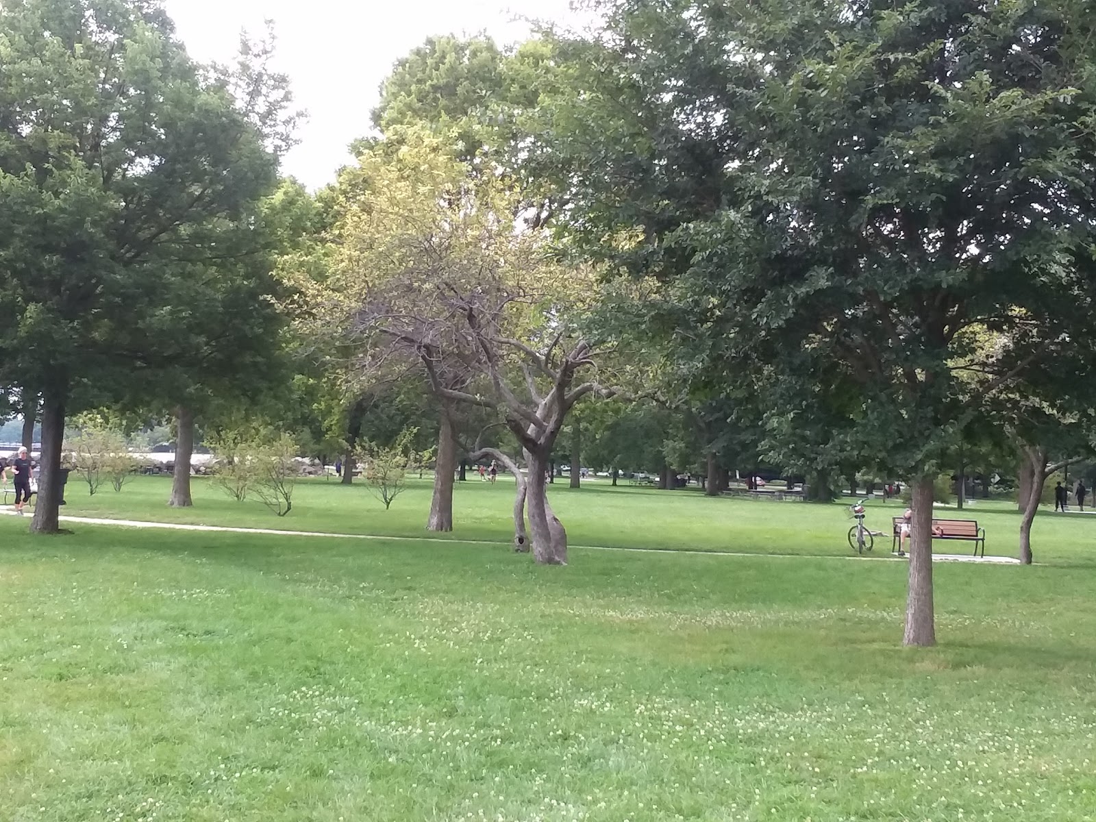Elliott Park (2026) – Best of TikTok, Instagram & Reddit Travel Guide