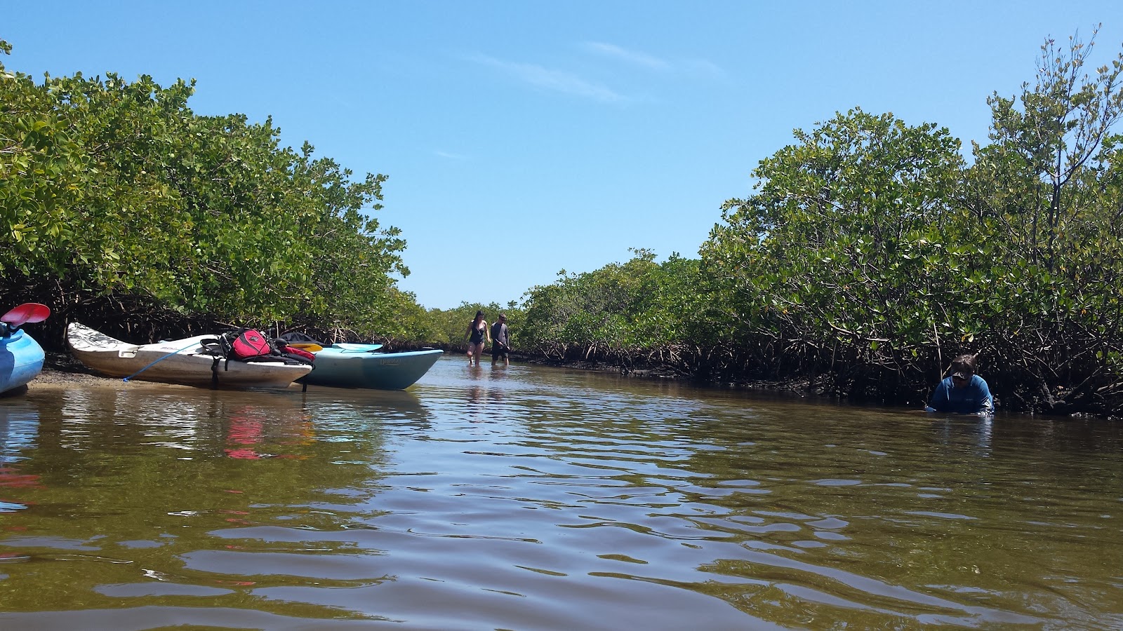 Munyon Island (2026) – Best of TikTok, Instagram & Reddit Travel Guide