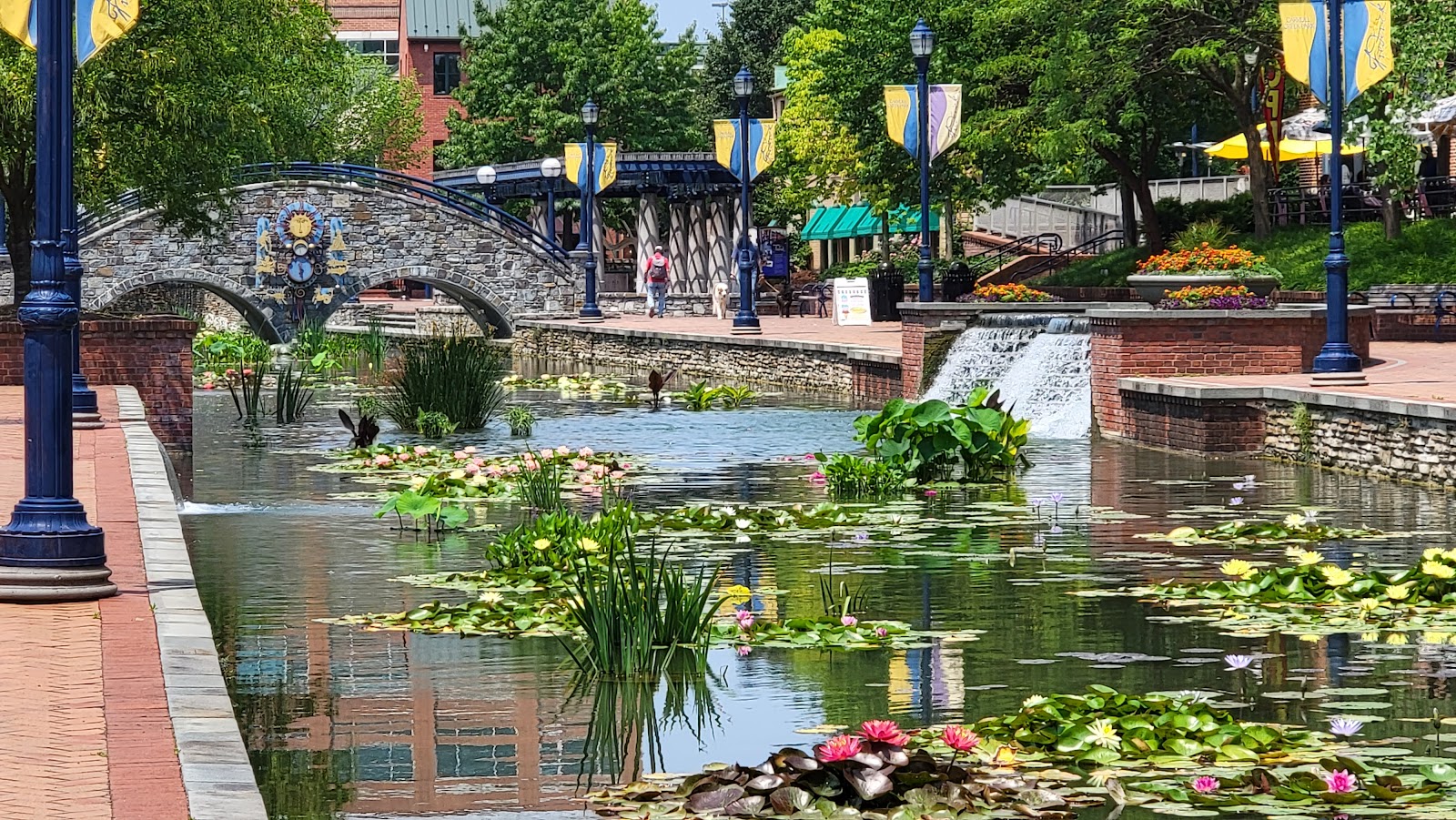 Frederick Public Art Trail (2026) – Best of TikTok, Instagram & Reddit ...