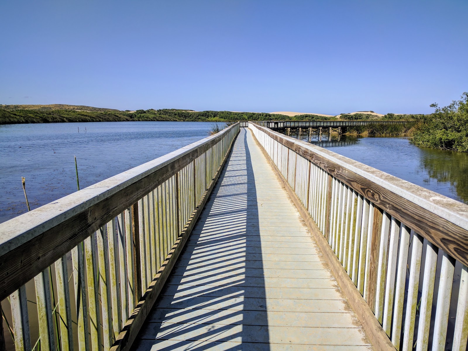 Oso Flaco Lake Trail (2026) – Best of TikTok, Instagram & Reddit Travel ...