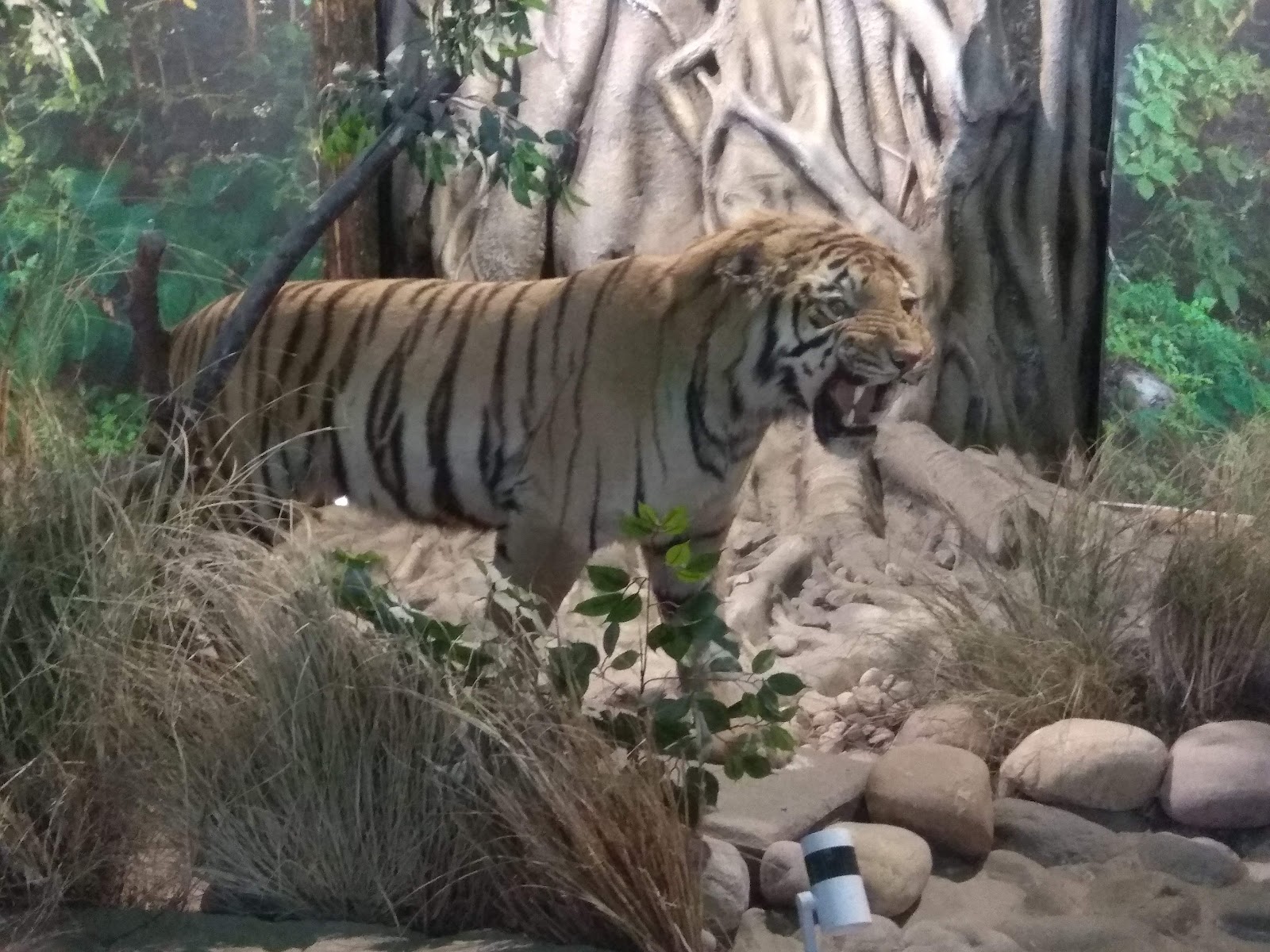 Dhangarhi Museum Interpretation Center (2026) – Best of TikTok ...