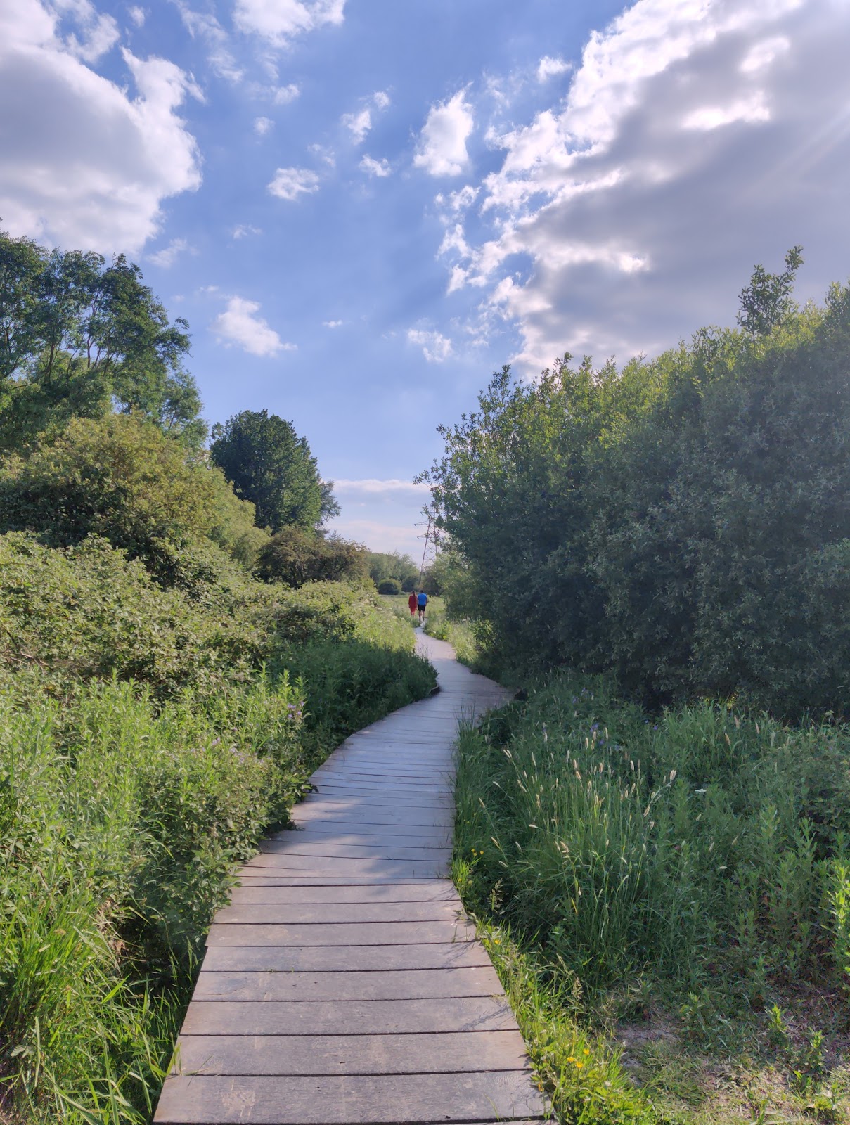 Aylestone Meadows Leicester (2026) – Best of TikTok, Instagram & Reddit ...
