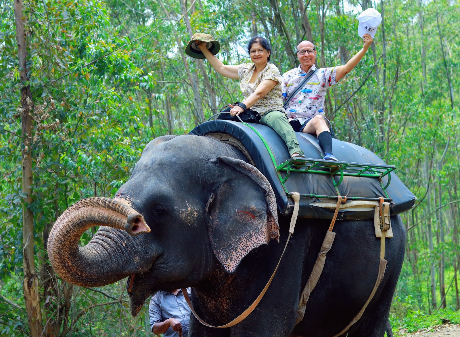 Elephant Arrival Spot (2026) – Best of TikTok, Instagram & Reddit ...