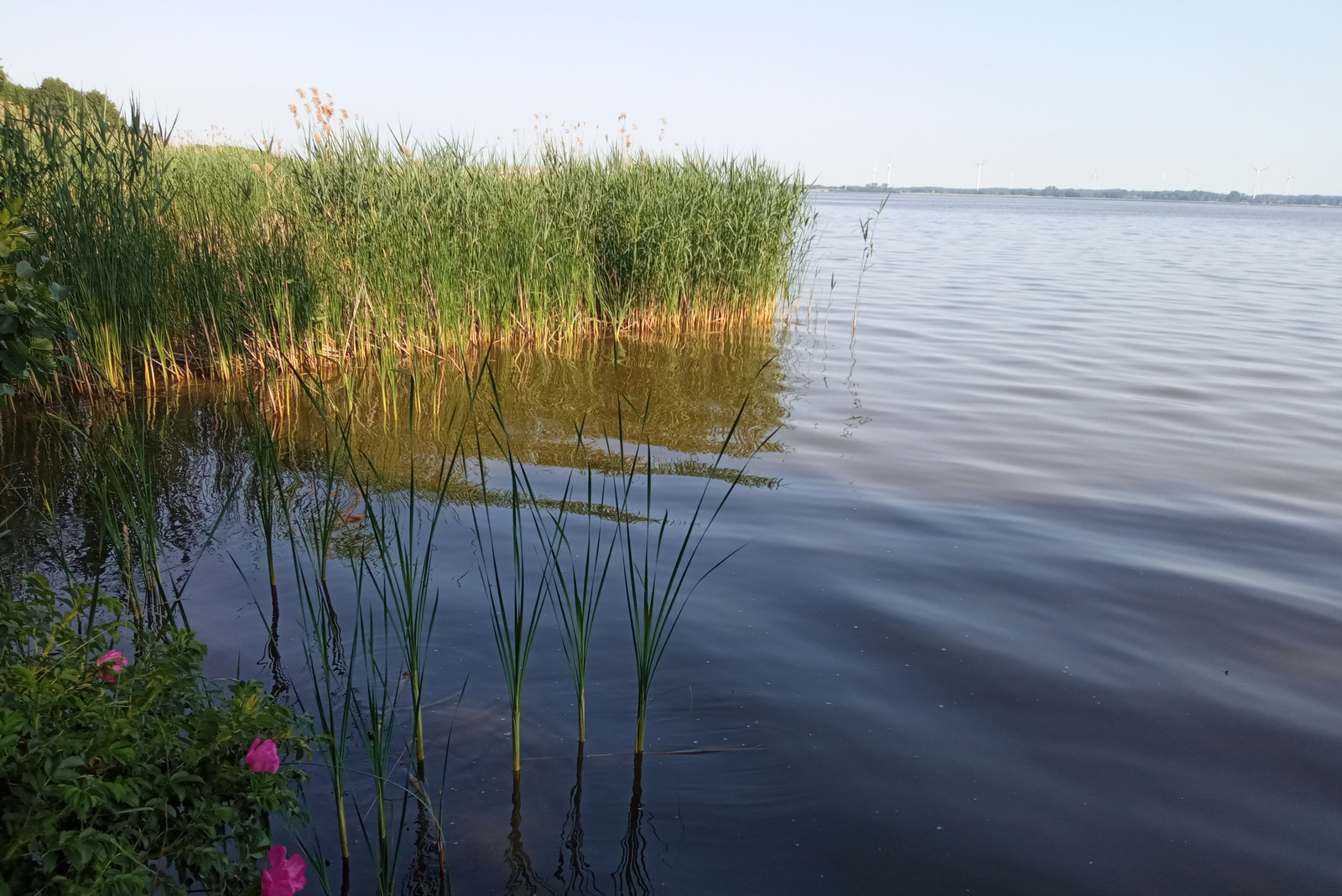 Resko Przymorskie Lake (2026) – Best of TikTok, Instagram & Reddit ...