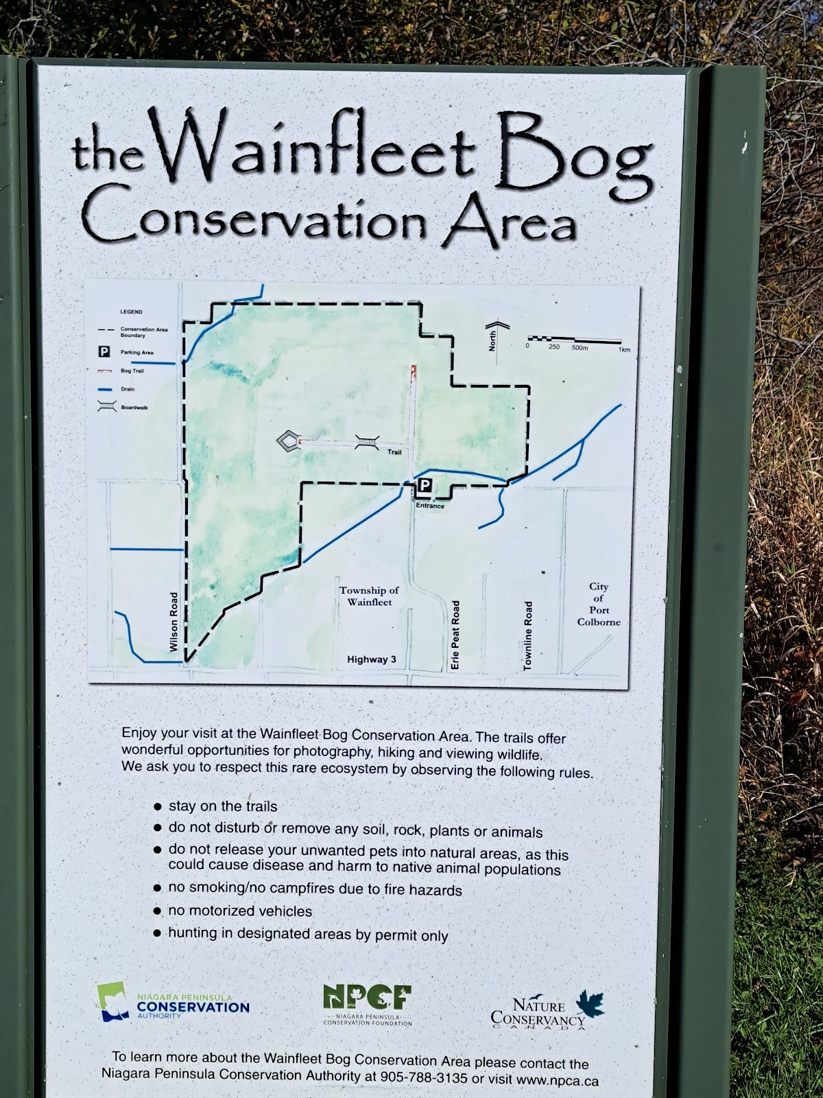Wainfleet Bog Conservation Area (2026) – Best of TikTok, Instagram ...