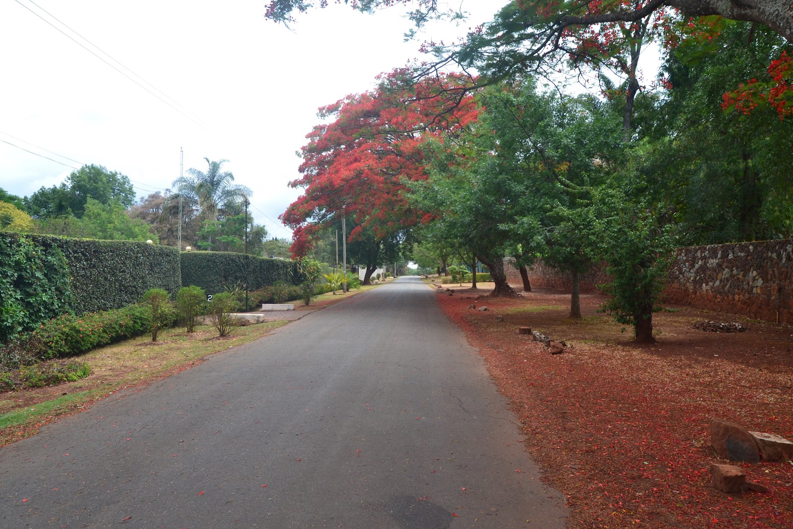 Chisipite Harare (2026) – Best of TikTok, Instagram & Reddit Travel Guide
