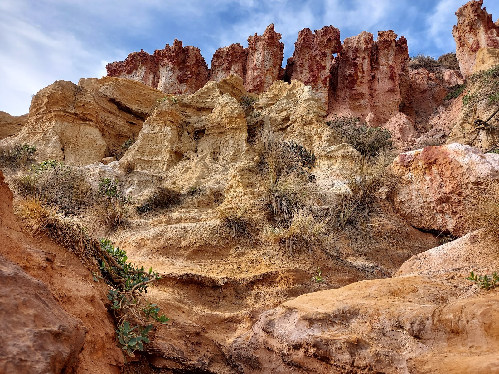 Red Bluff Lookout (2025) – Best of TikTok, Instagram & Reddit Travel Guide