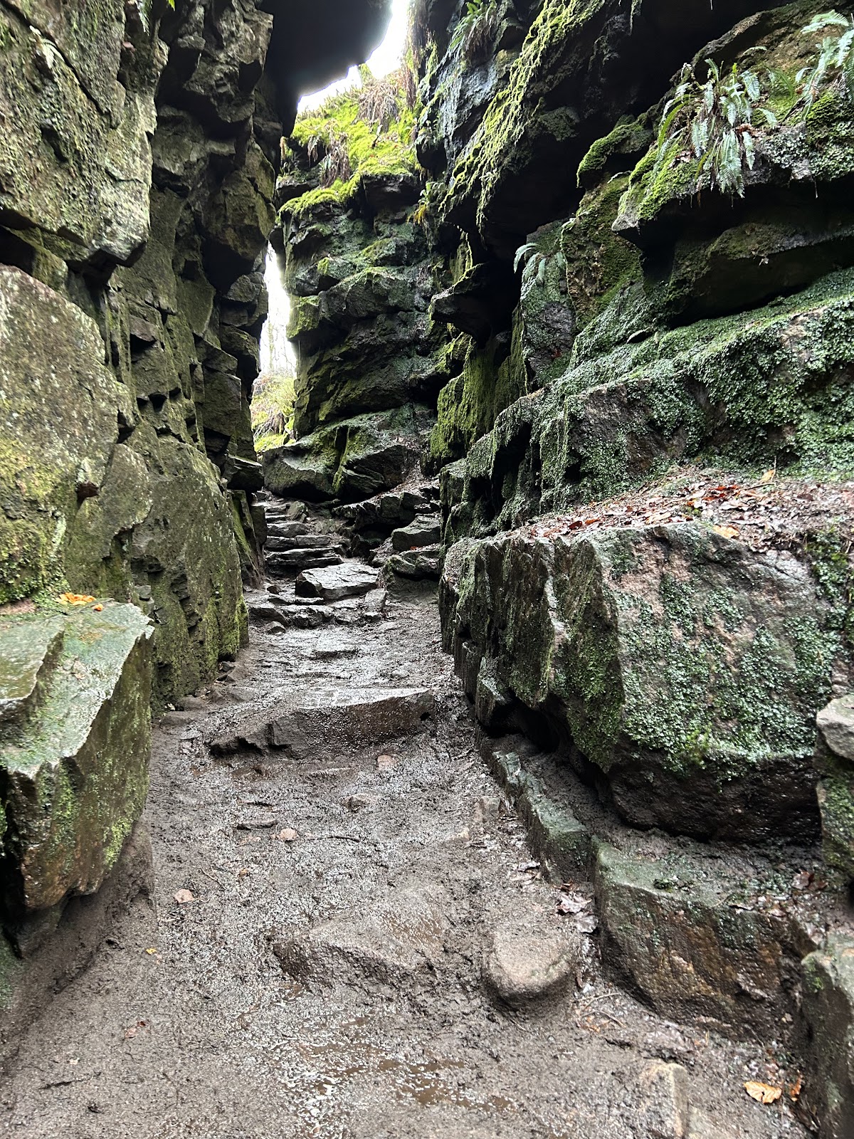 Lud's Church Staffordshire (2026) – Best of TikTok, Instagram & Reddit ...