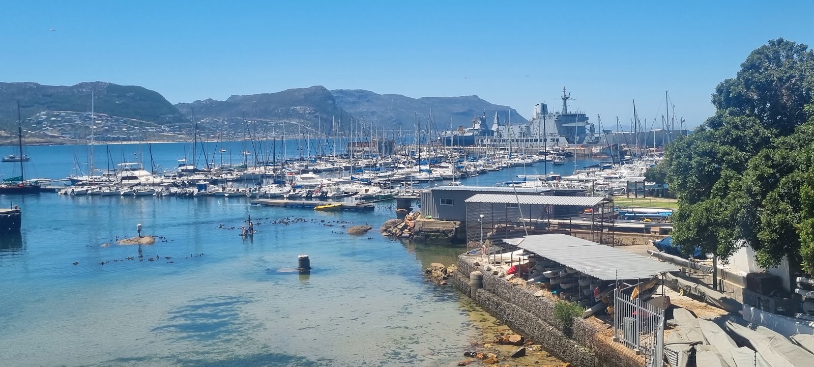 Simon’s Town Cape Town (2026) – Best of TikTok, Instagram & Reddit ...