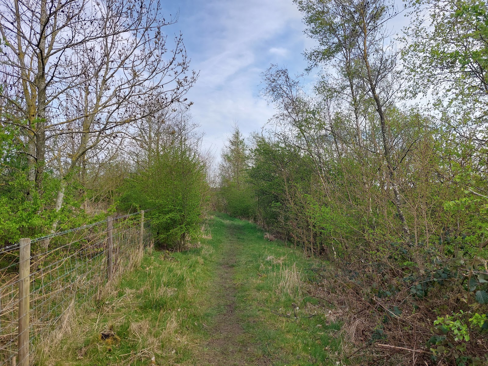 Ledston Luck Nature Reserve (2026) – Best of TikTok, Instagram & Reddit ...