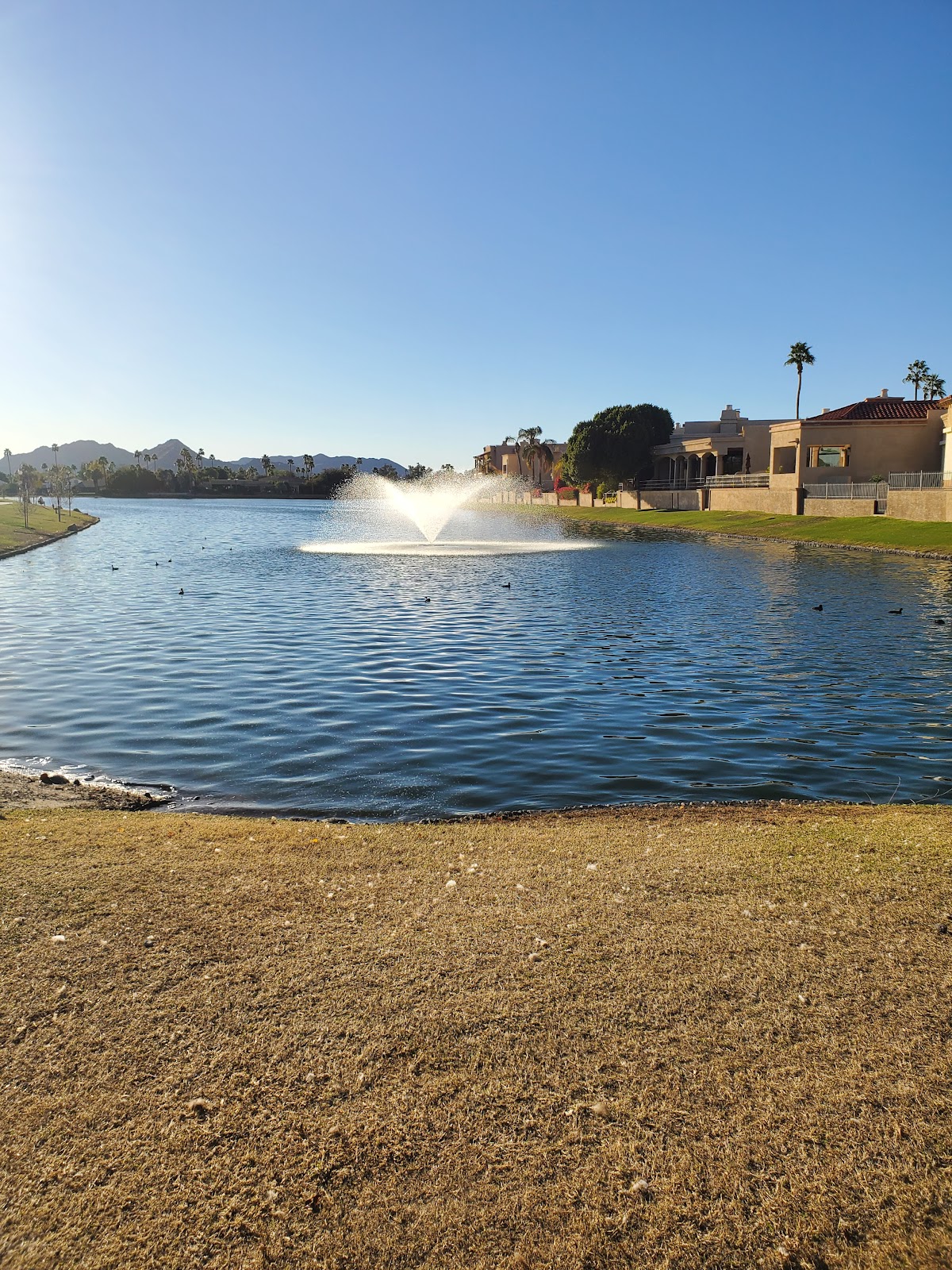 Indian Bend Wash Greenbelt Scottsdale (2026) – Best of TikTok ...
