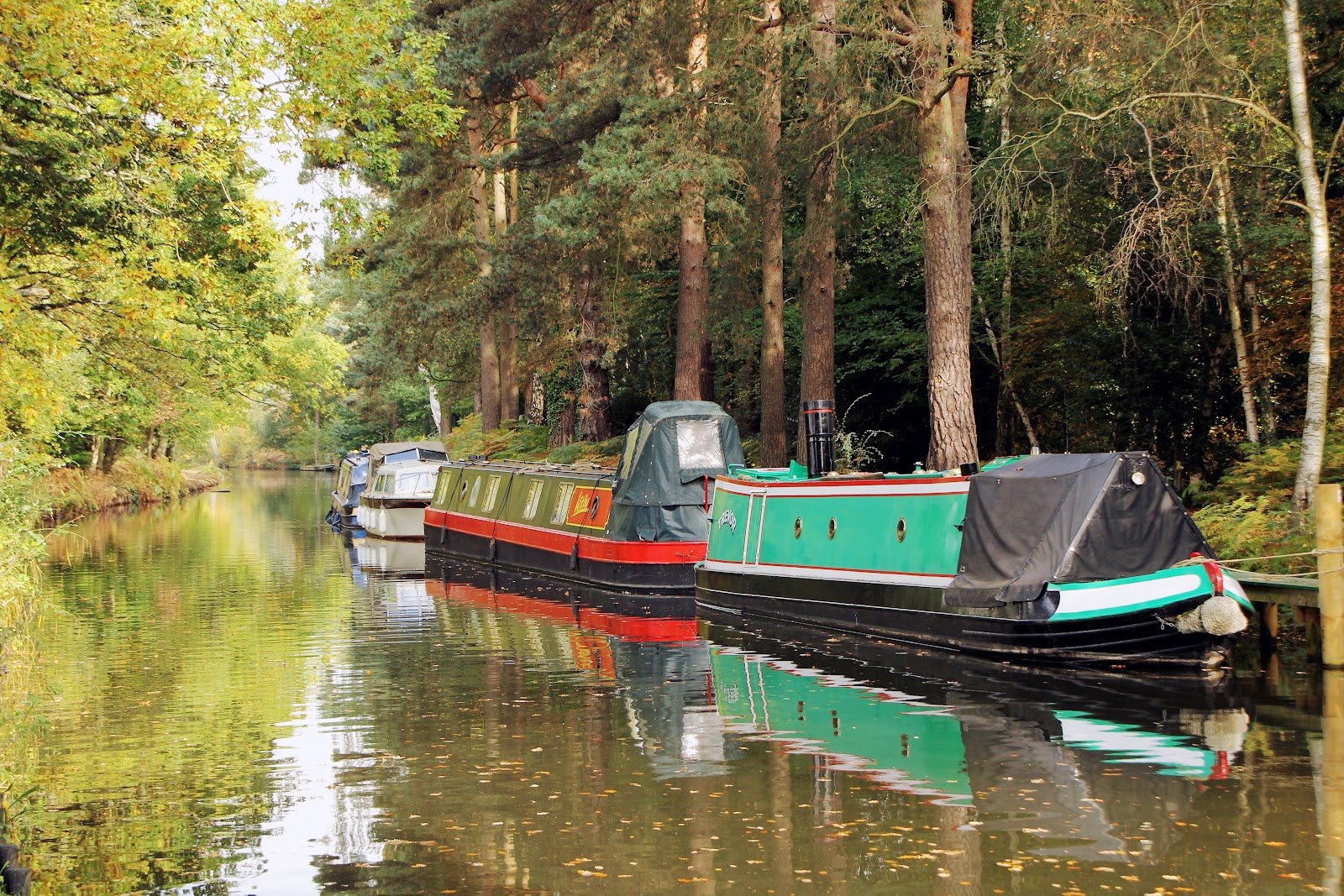 Basingstoke Canal Woking (2026) – Best of TikTok, Instagram & Reddit ...