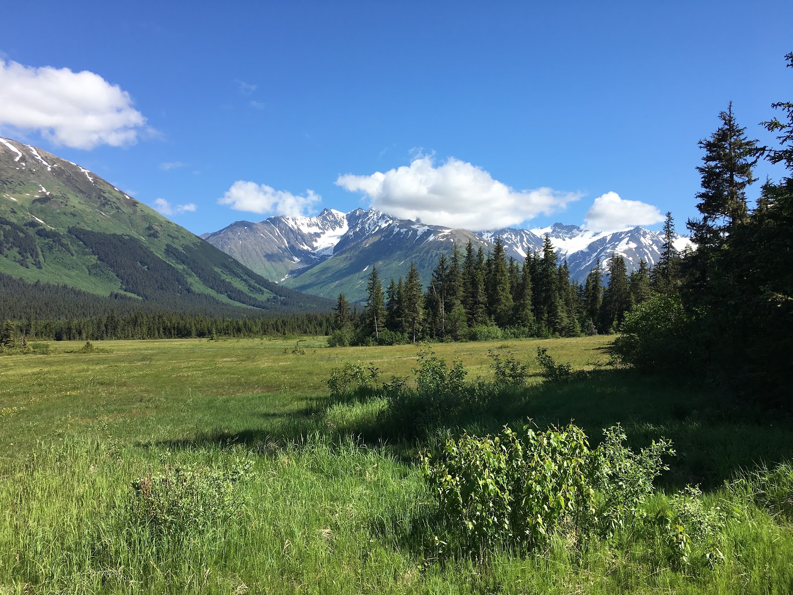 Moose Meadow Park (2026) – Best of TikTok, Instagram & Reddit Travel Guide