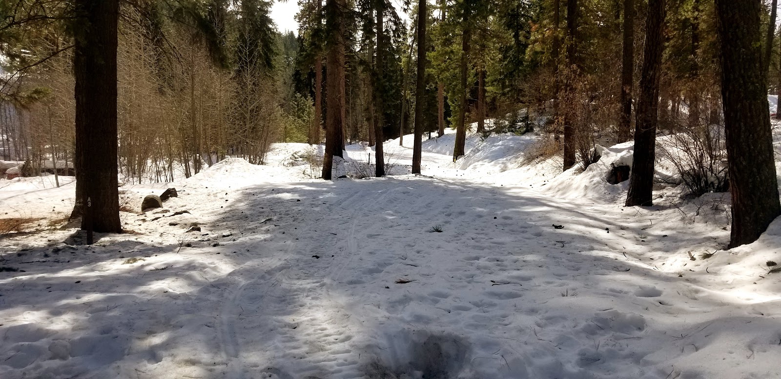 Ahtanum Meadows Sno-Park (2026) – Best of TikTok, Instagram & Reddit ...