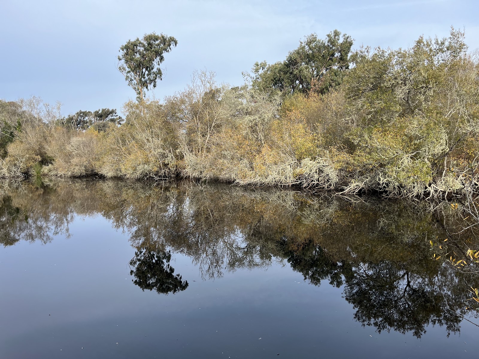 Oceano Lagoon (2026) – Best of TikTok, Instagram & Reddit Travel Guide