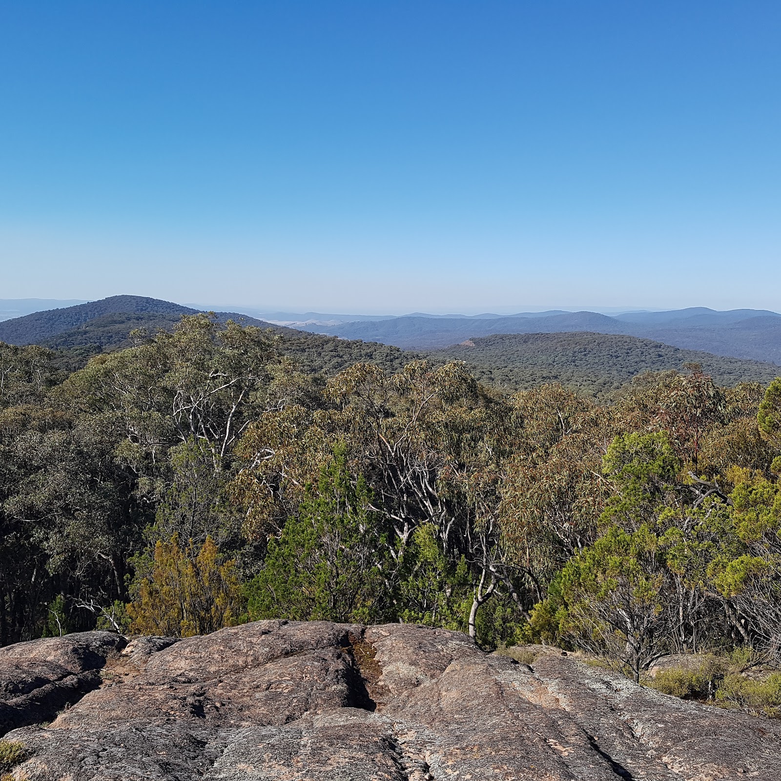 Woomargama National Park (2026) – Best of TikTok, Instagram & Reddit ...