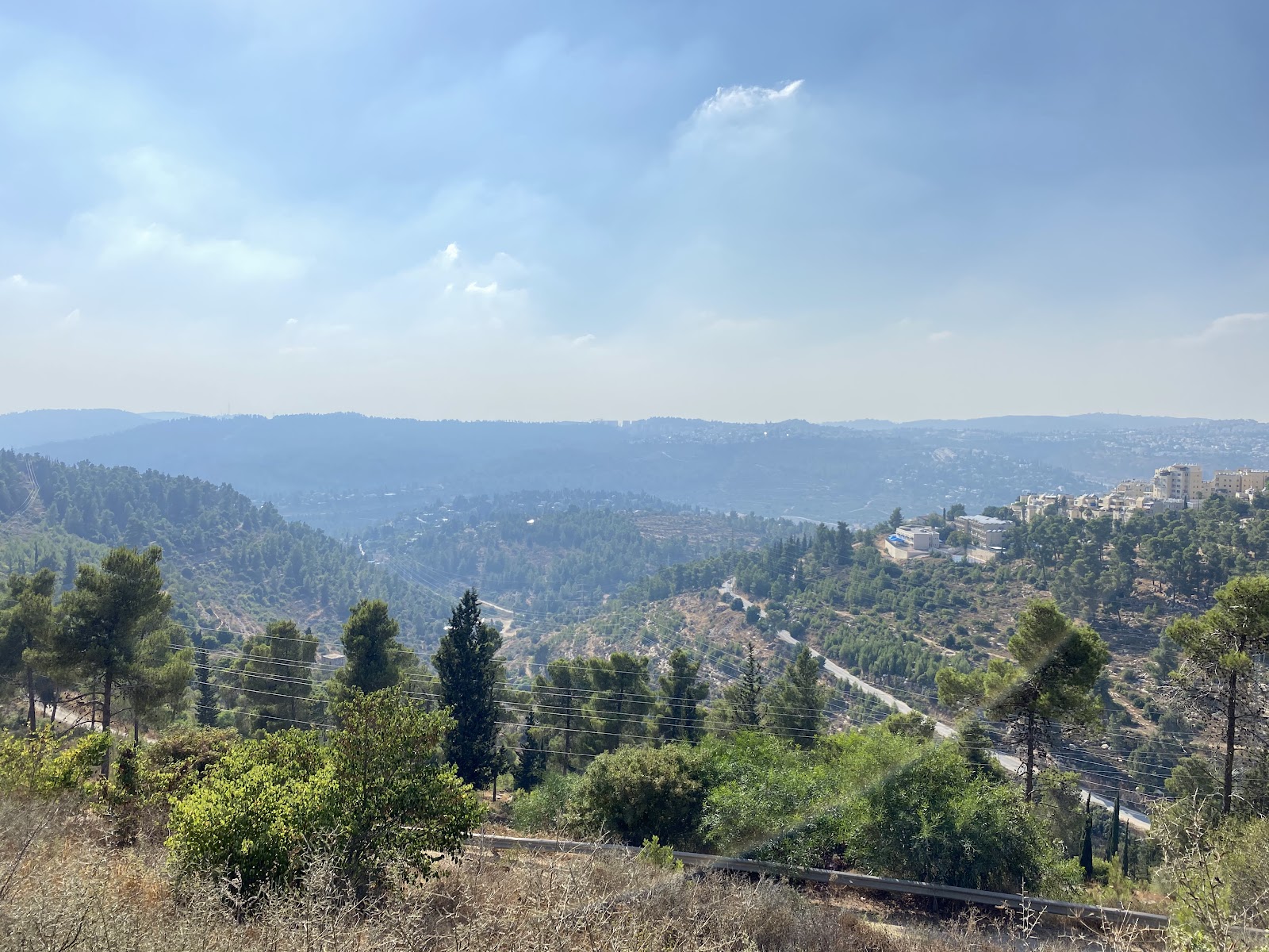 Jerusalem Forest (2026) – Best of TikTok, Instagram & Reddit Travel Guide