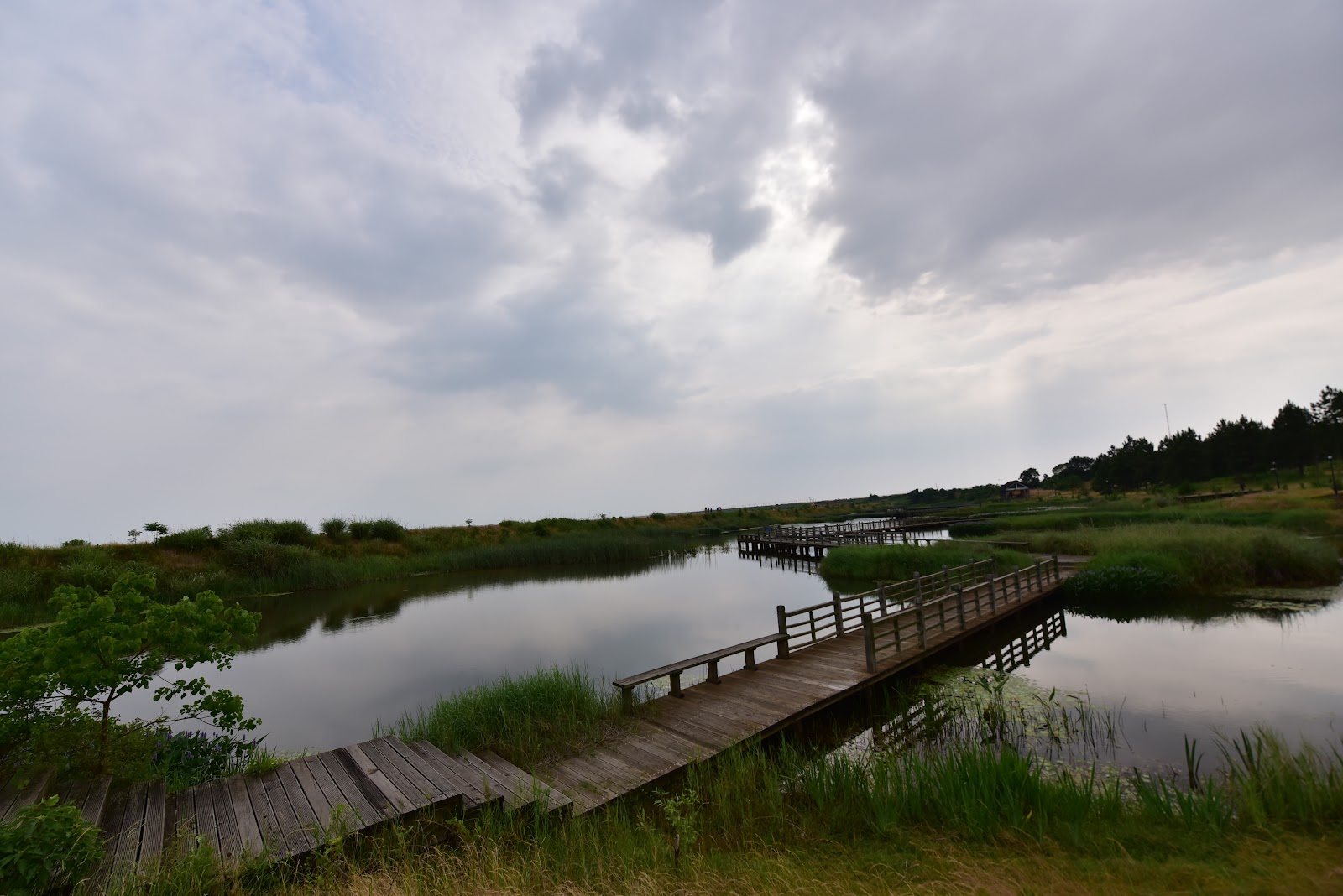 Poyang Lake National Nature Reserve Wucheng (2026) – Best of TikTok ...