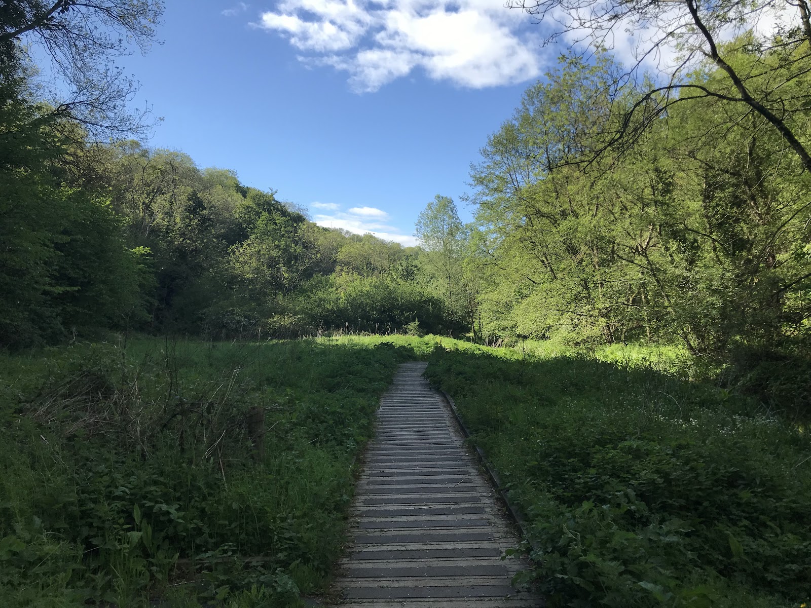 Forge Valley Woods National Nature Reserve (2026) – Best of TikTok ...