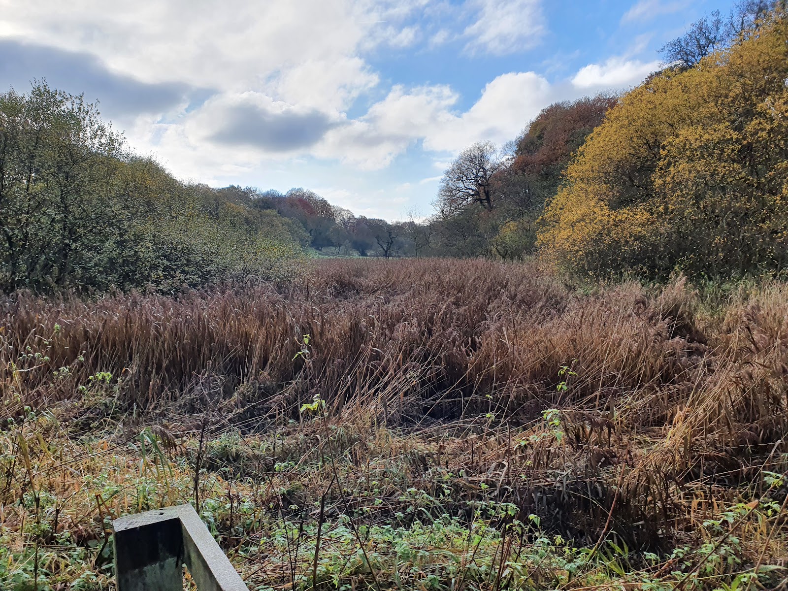 Withnell Fold Nature Reserve (2026) – Best of TikTok, Instagram ...