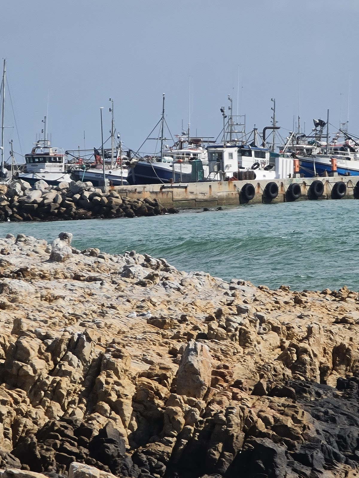 Gansbaai Harbour (2026) – Best of TikTok, Instagram & Reddit Travel Guide