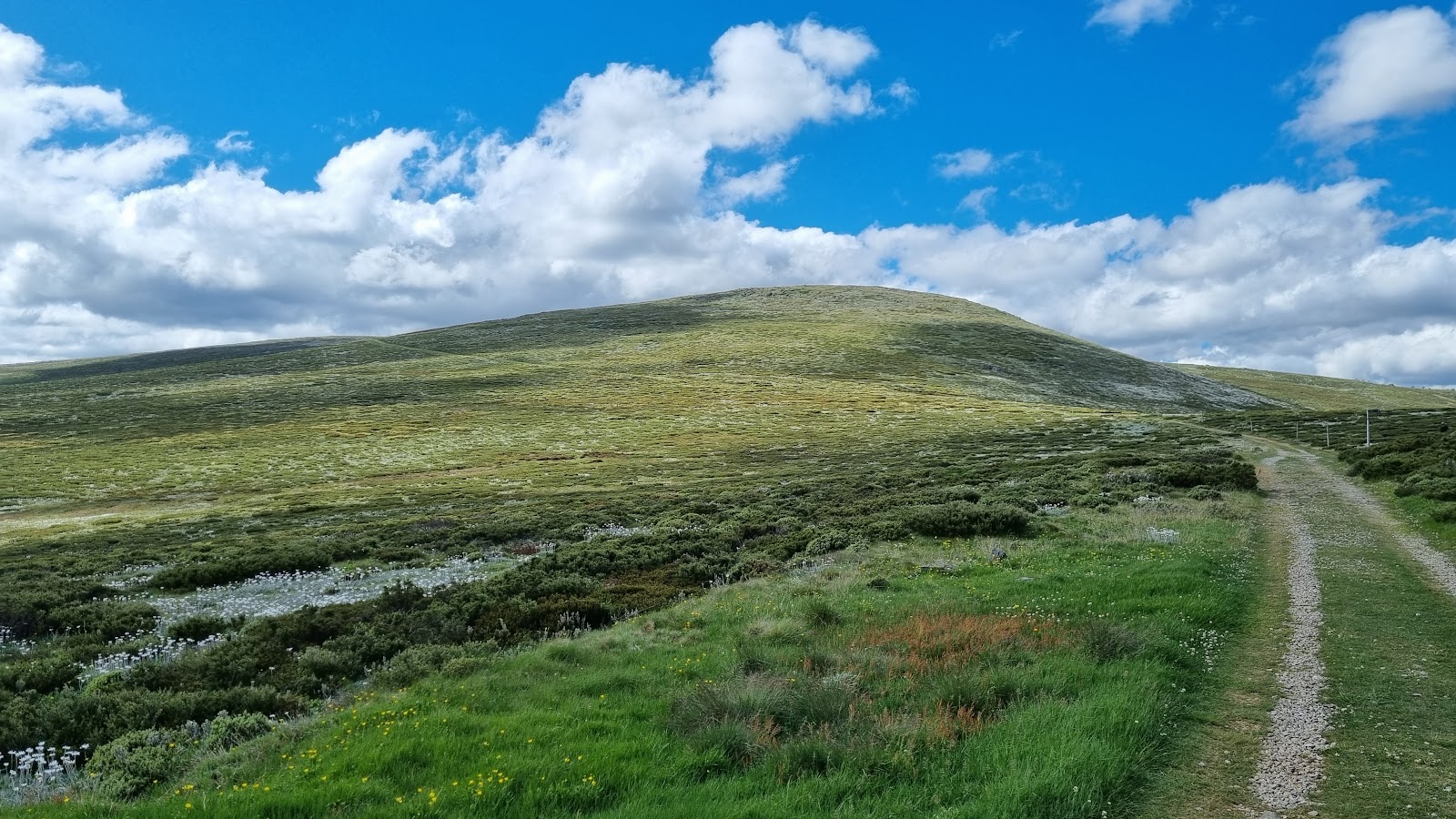 Mount Nelse Victoria (2026) – Best of TikTok, Instagram & Reddit Travel ...