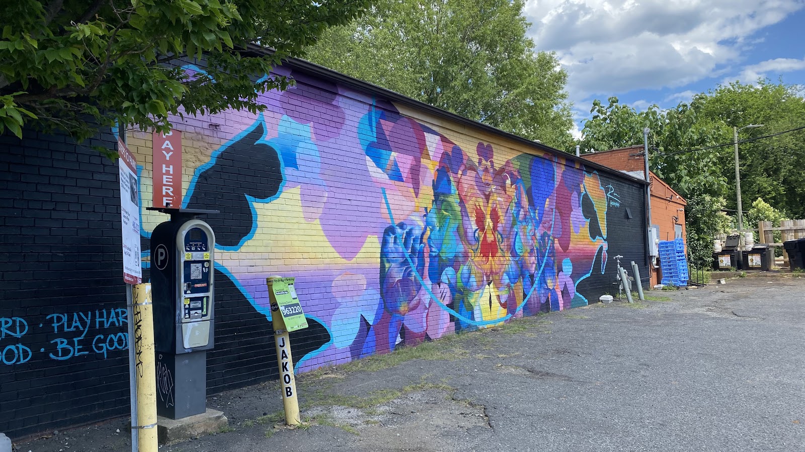 NoDa Murals (2026) – Best of TikTok, Instagram & Reddit Travel Guide