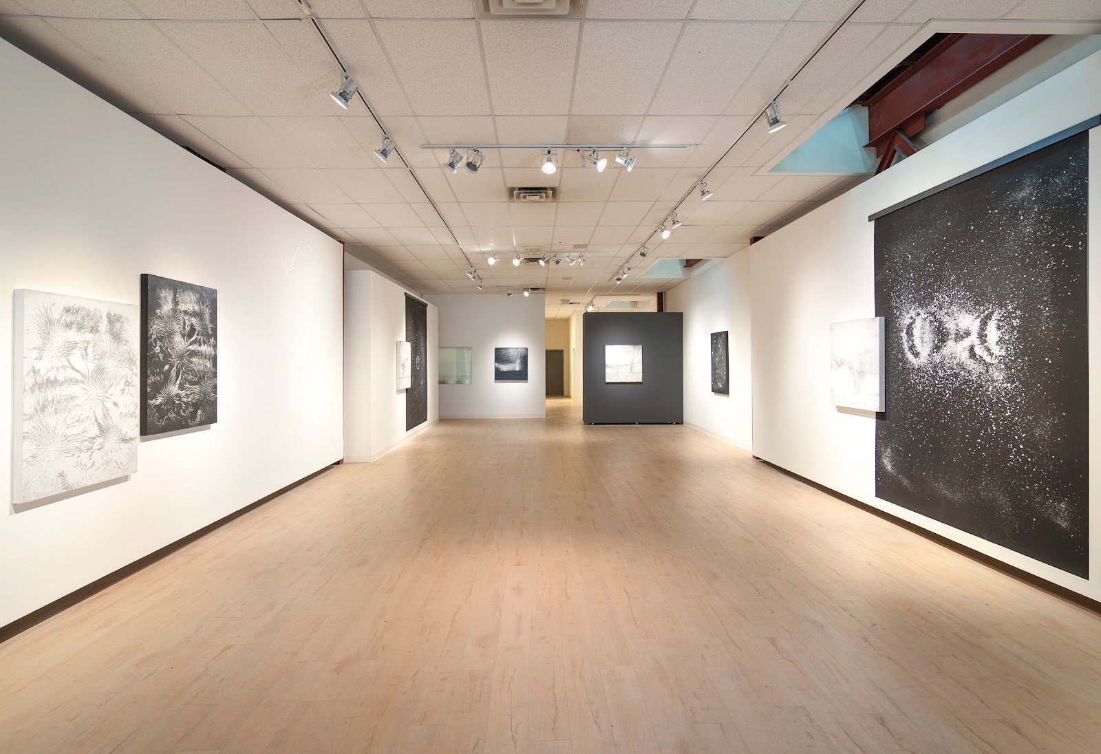 Richard Levy Gallery (2025) – Best of TikTok, Instagram & Reddit Travel ...