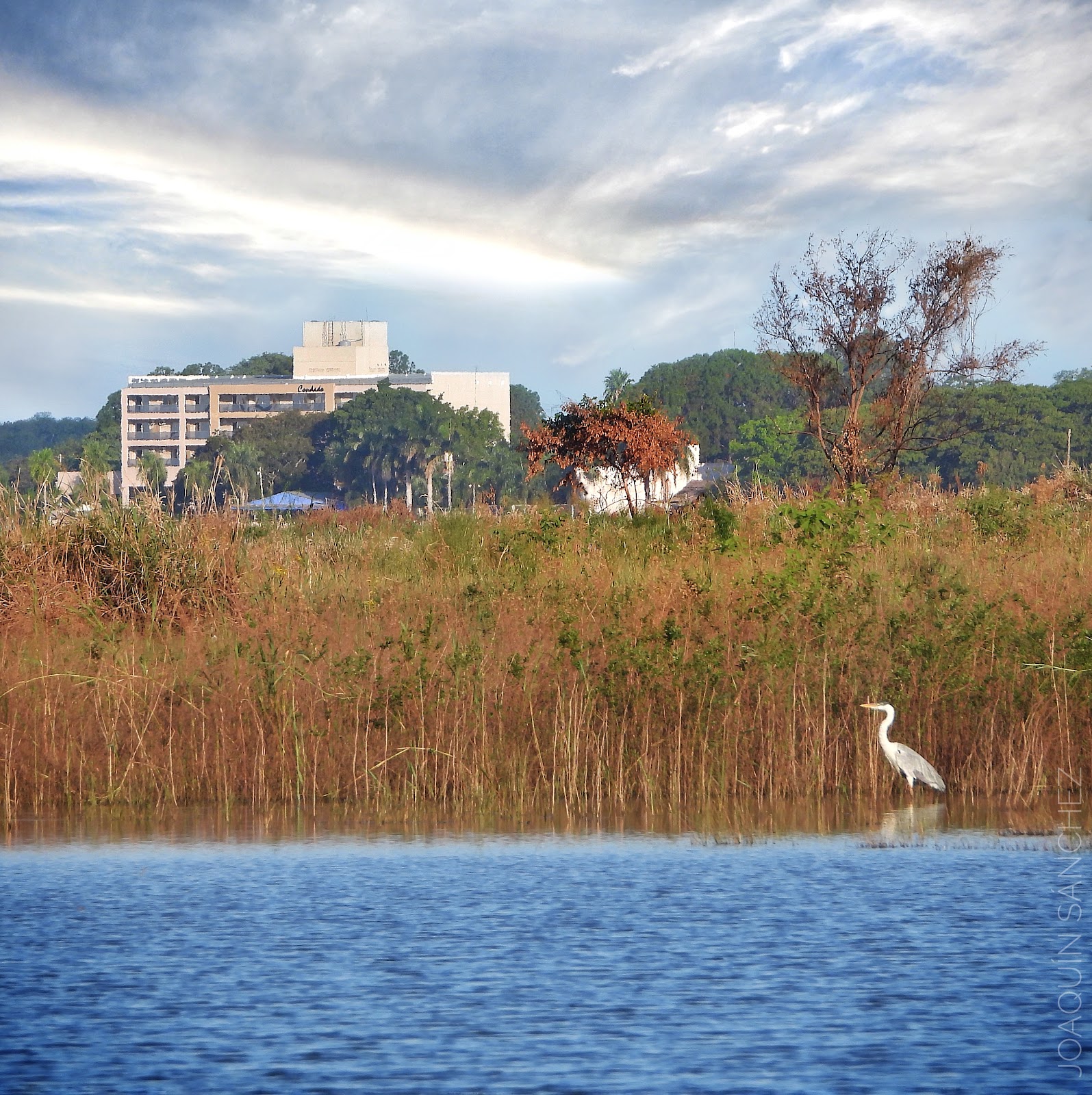 Paso de la Patria (2025) – Best of TikTok, Instagram & Reddit Travel Guide