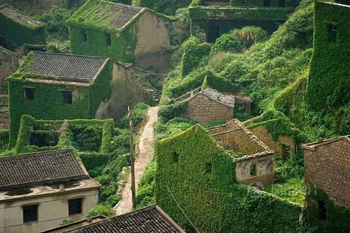 Gouqi Island (2026) – Best of TikTok, Instagram & Reddit Travel Guide