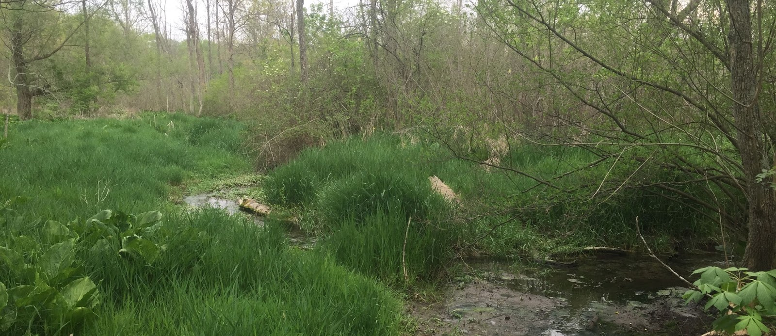 Estel Wenrick Wetlands (2025) – Best of TikTok, Instagram & Reddit ...