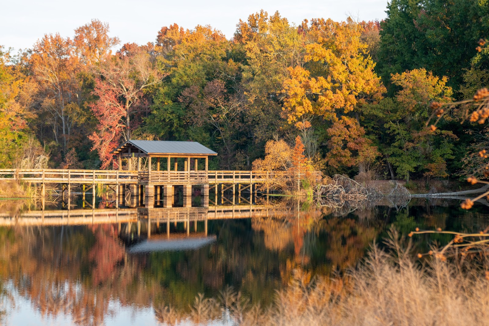 Brick Pond Park North Augusta (2025) – Best of TikTok, Instagram ...