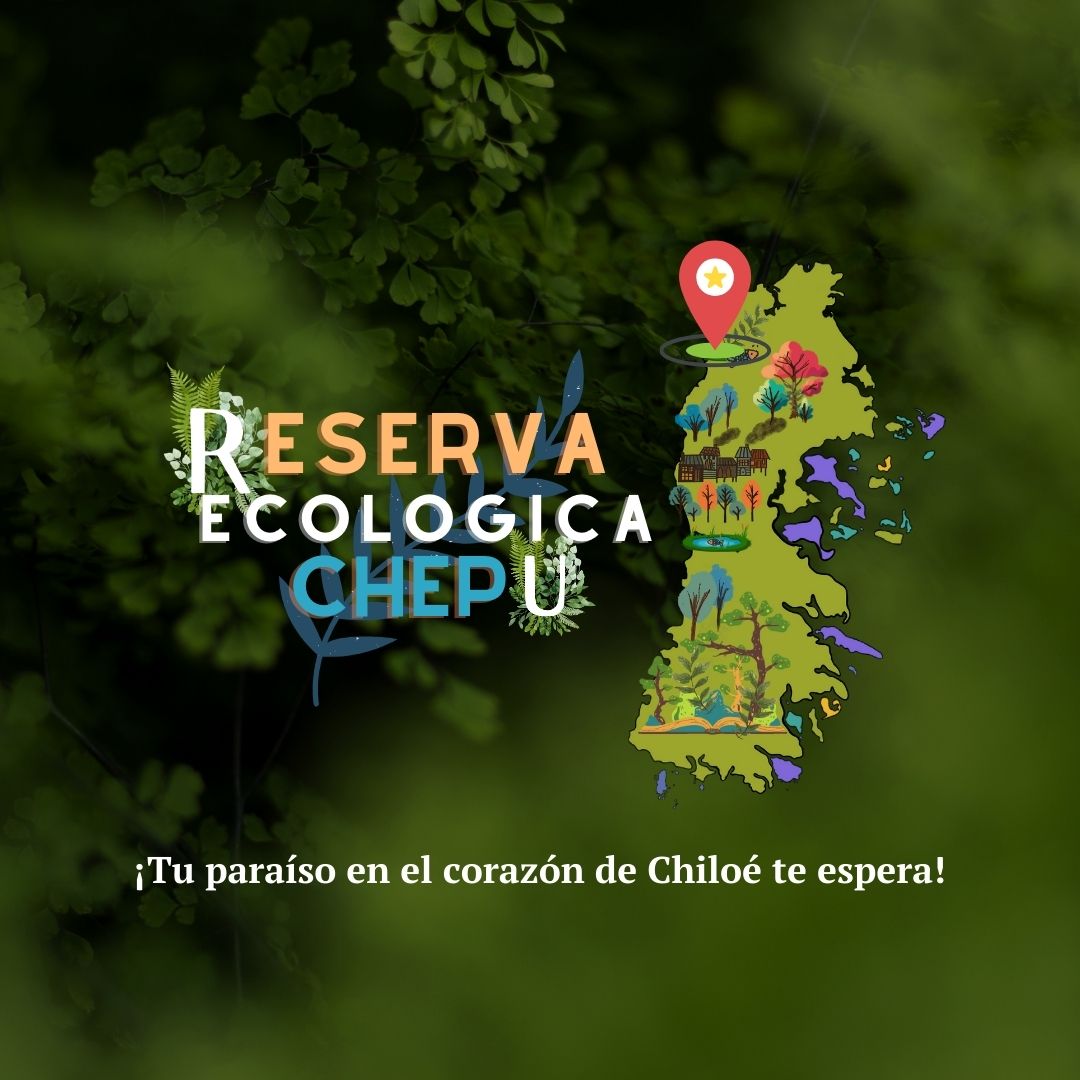 Chepu River and Sunken Forest (2026) – Best of TikTok, Instagram ...