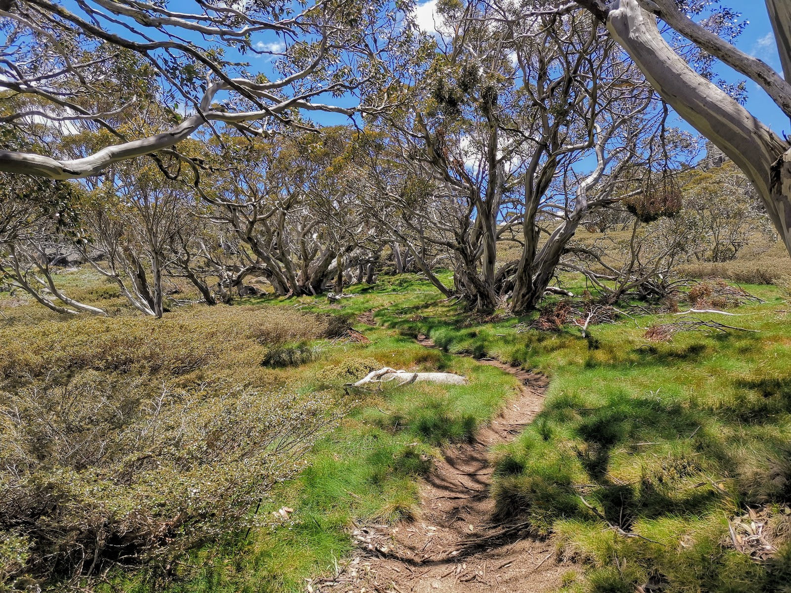 Dead Horse Gap (2026) – Best of TikTok, Instagram & Reddit Travel Guide