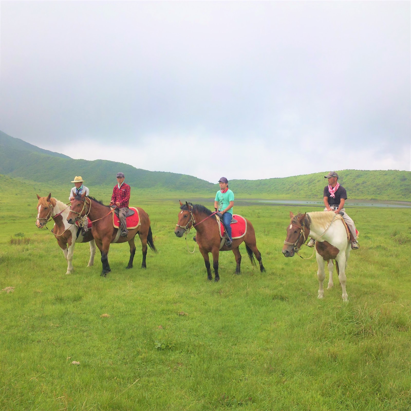 Kusasenri Horse Riding Club Aso (2026) – Best of TikTok, Instagram ...