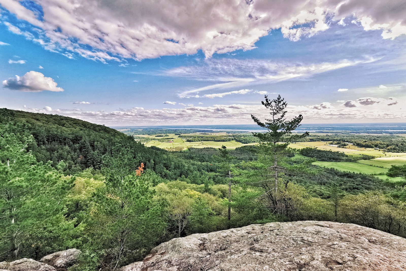 Wolf Trail (2026) – Best of TikTok, Instagram & Reddit Travel Guide