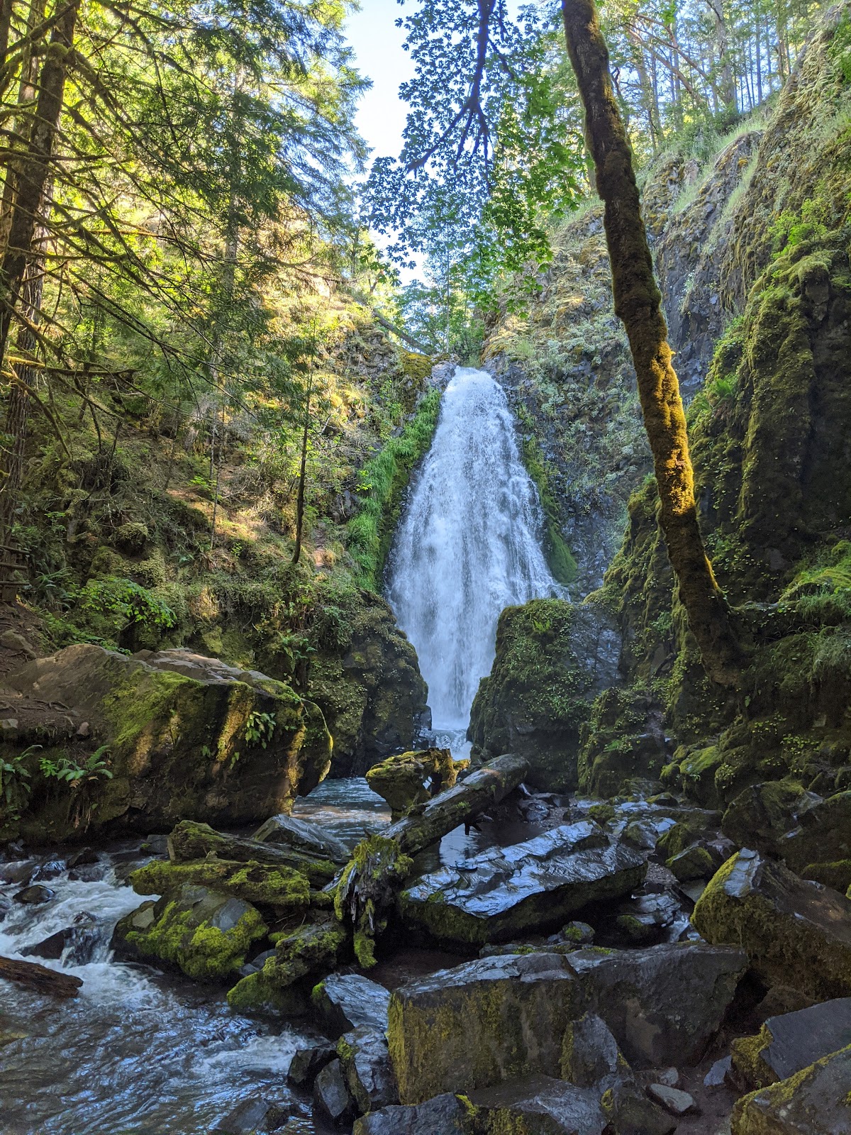 Susan Creek Falls (2026) – Best of TikTok, Instagram & Reddit Travel Guide