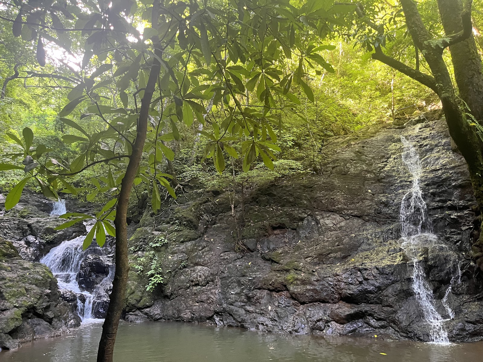 Mala Noche Waterfall Nosara (2026) – Best of TikTok, Instagram & Reddit ...