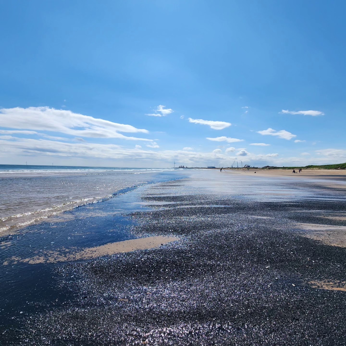 Cambois Beach (2026) – Best of TikTok, Instagram & Reddit Travel Guide