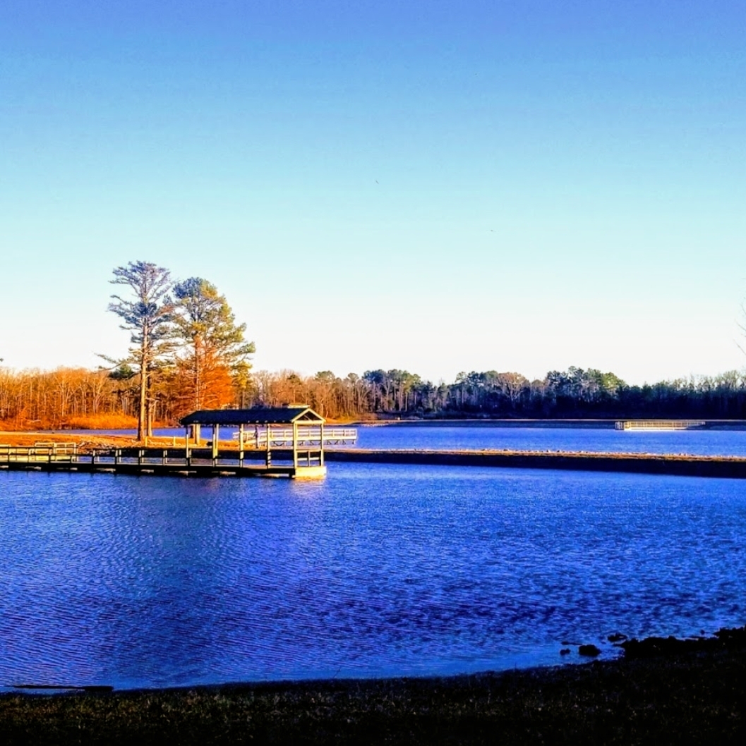 Lake Lamar Bruce (2026) – Best of TikTok, Instagram & Reddit Travel Guide